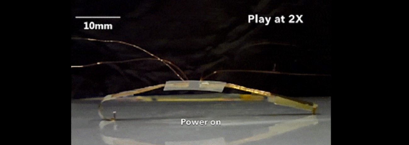 Mechaniczny robak dotrze niemal wszędzie. Jak naukowcy zamierzają go ...