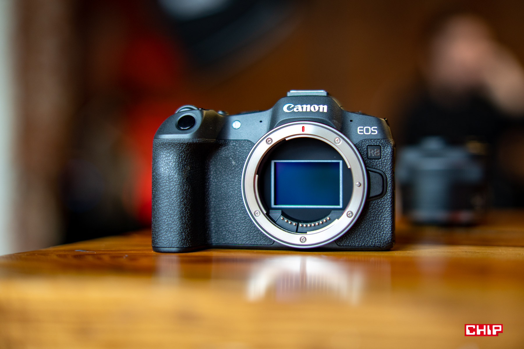 Canon EOS R8 i EOS R50 - pierwsze wrażenia i pierwsze zdjęcia. To bardzo rozsądna premiera