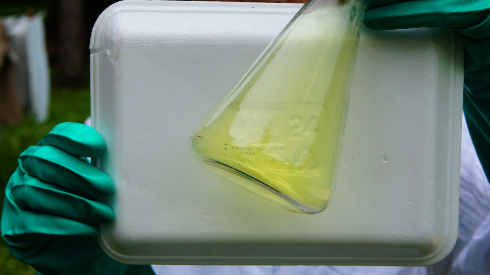 Dlaczego o tym surowcu jest tak cicho? Jego produkcja pochłania aż 4 ...